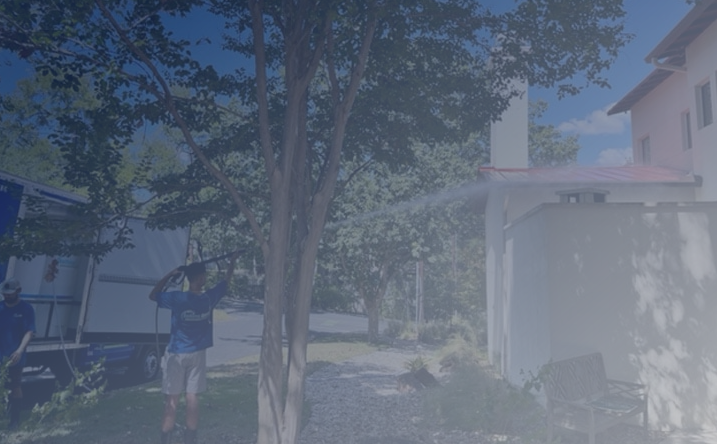 Roof Power Washing in Summerville, SC | Home Service